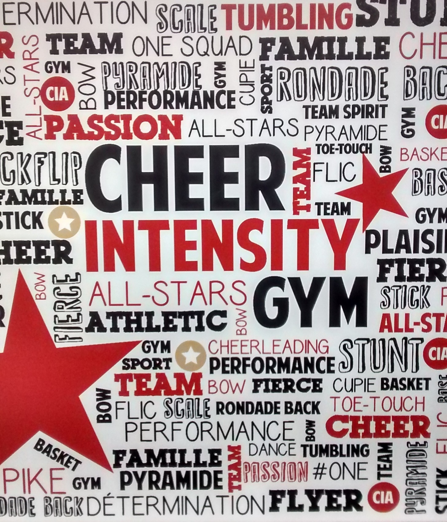 Cheer Intensity All-Stars – WORKSTATION.